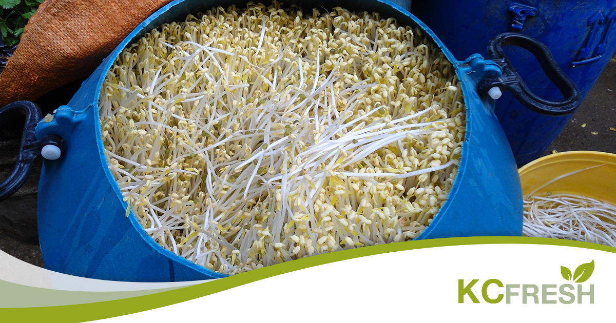 4 เรื่องราวดีๆ ของผักขาวอวบที่เรียกว่า “ถั่วงอก” | KC Fresh